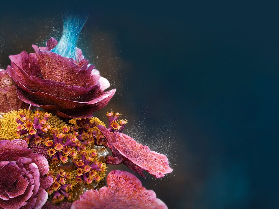 Descarga de software | CORALINK | AUMA